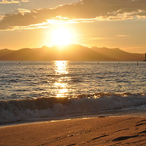 Purpose and Connection in the Pandemic - MOR Associates